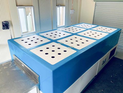 Why Live Seafood Holding Tanks are More Important Than Ever - Austmarine