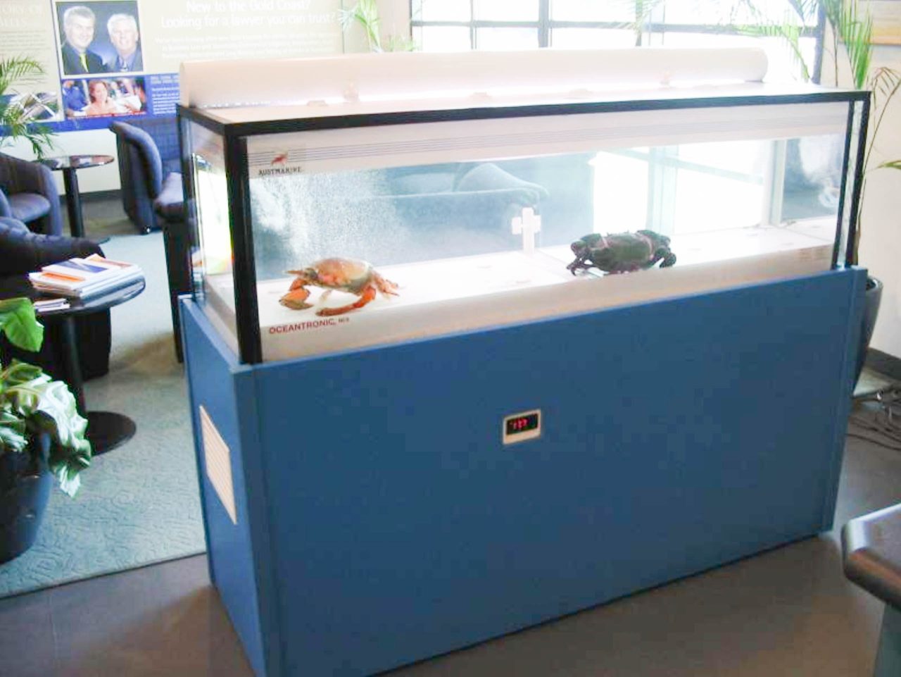 Live SEAFOOD Display Tanks - Austmarine
