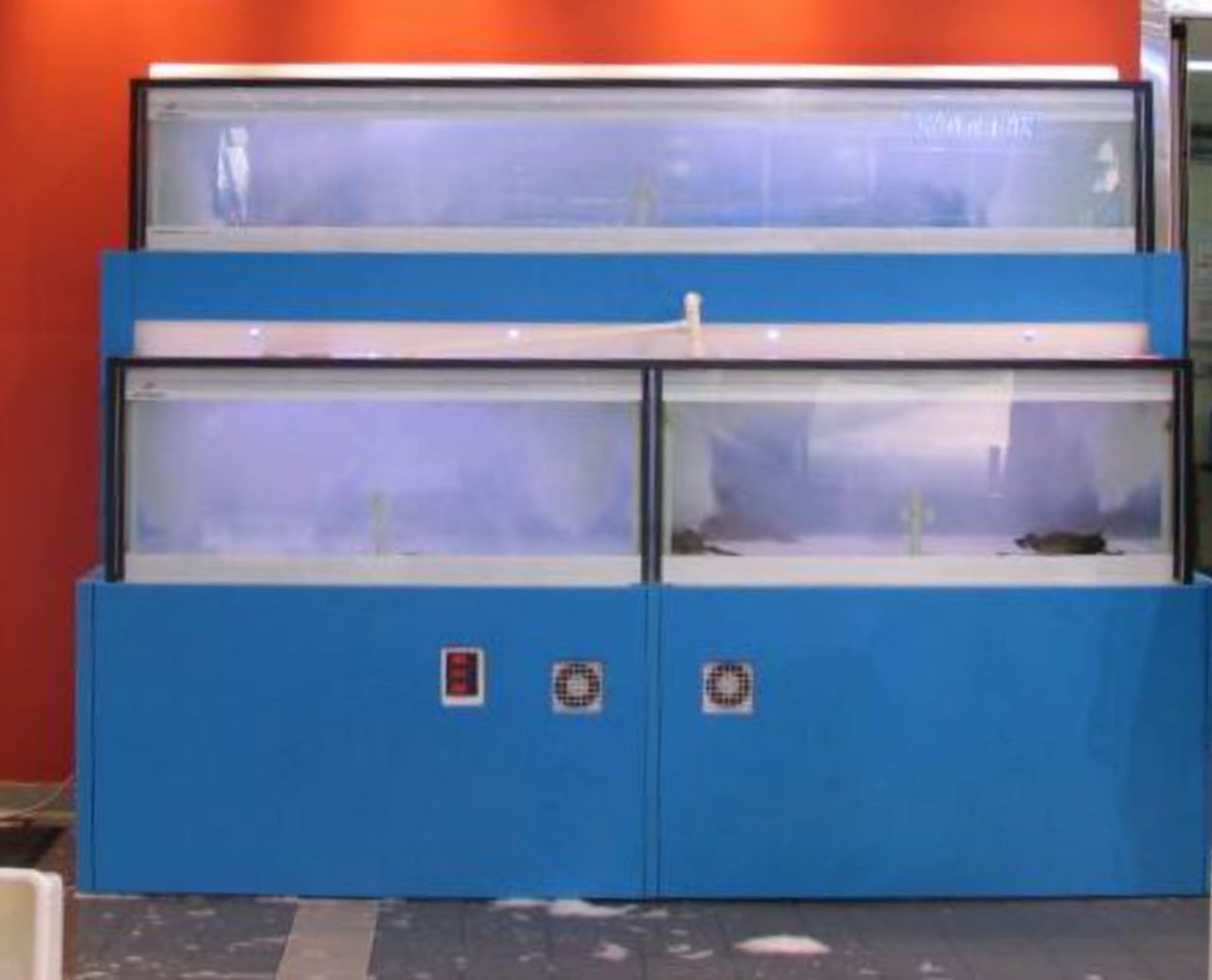 Live SEAFOOD Display Tanks - Austmarine