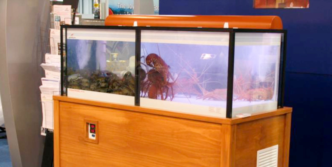 Live SEAFOOD Display Tanks - Austmarine